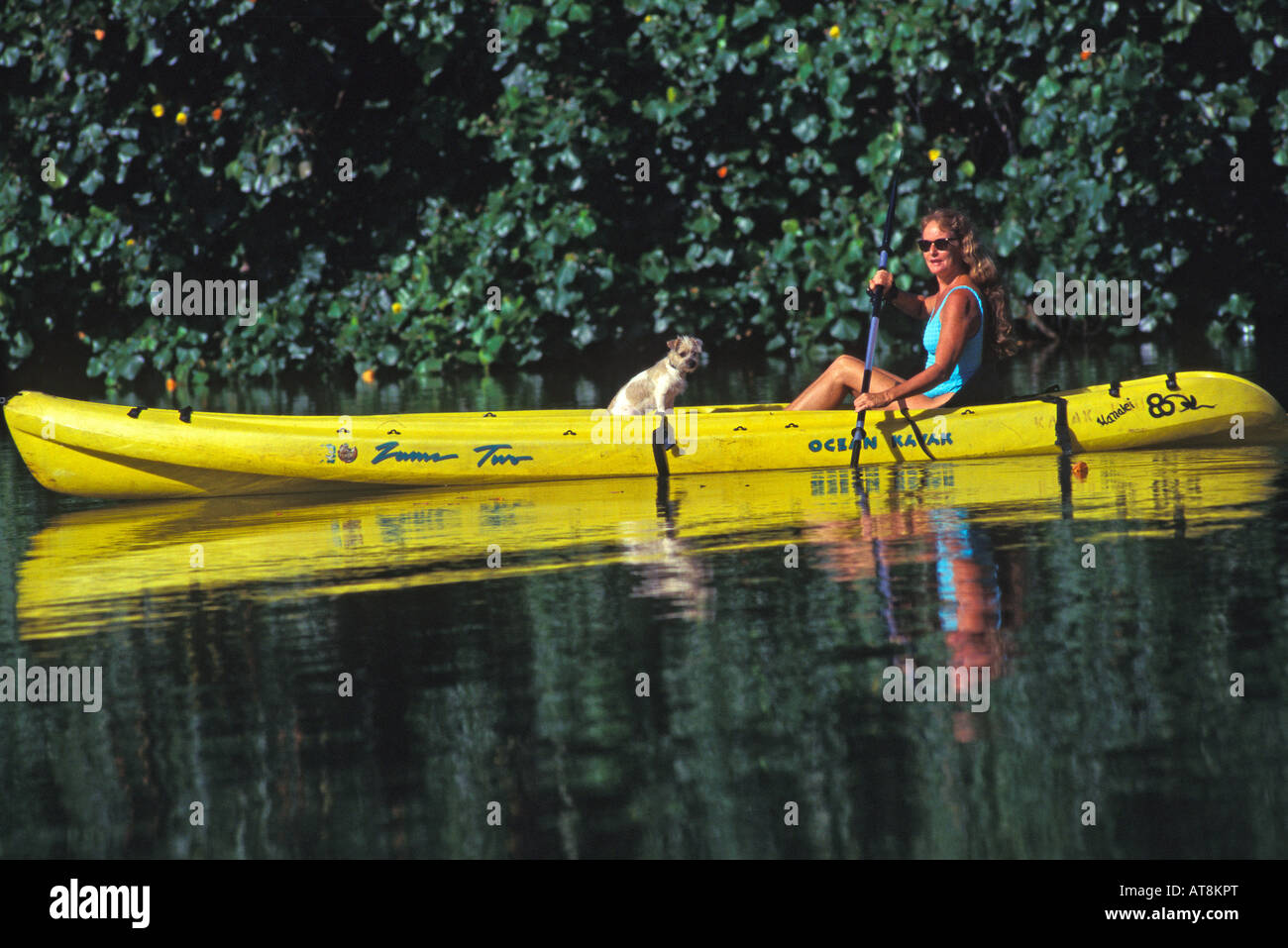 Woman and her best friend paddle a kayak along the Hanalei River, Kauai ...