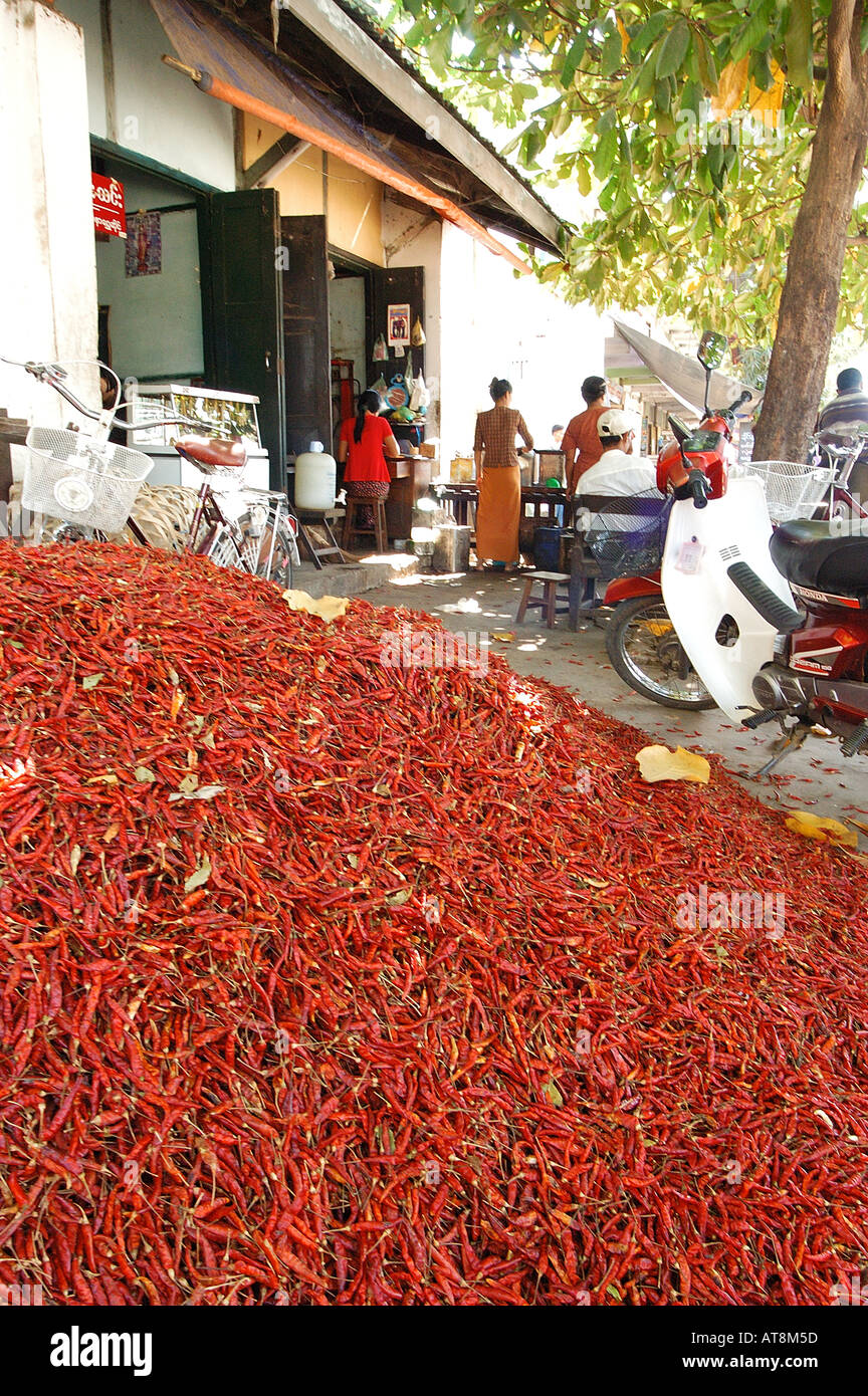 chilli Meiktila central Burma Burma Myanmar Stock Photo - Alamy