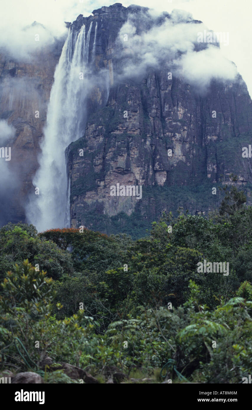 Angel falls venezuela aerial hi-res stock photography and images - Alamy