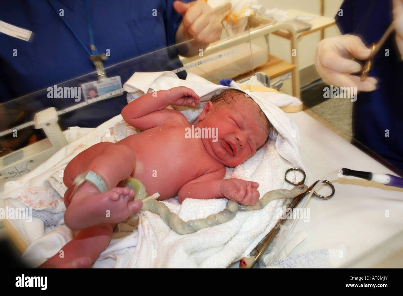 newborn baby with umbilical chord still attatched Stock Photo - Alamy