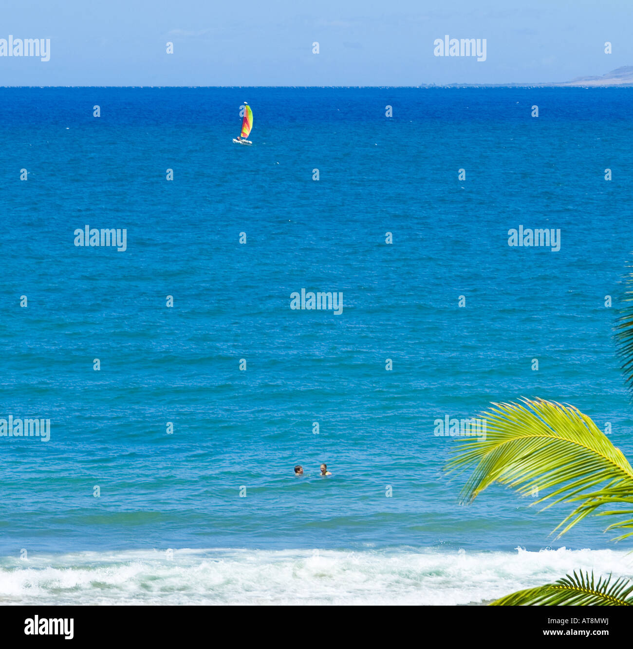 A sailboat cruises off beautiful Wailea beach on West Maui. Palm fronds ... A sailboat cruises off beautiful Wailea beach on West Maui. Palm fronds ...