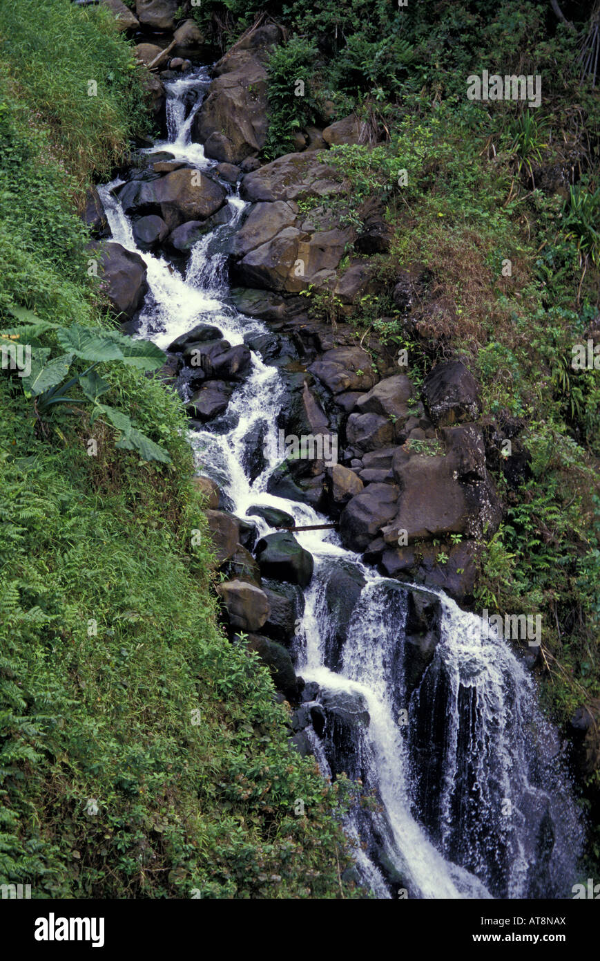 A beautiful waterfall cascades down a rocky slope lined with lush green ...