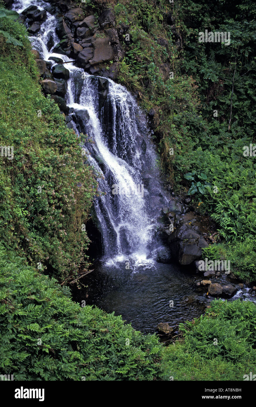 A beautiful waterfall cascades down a rocky slope lined with lush green ...