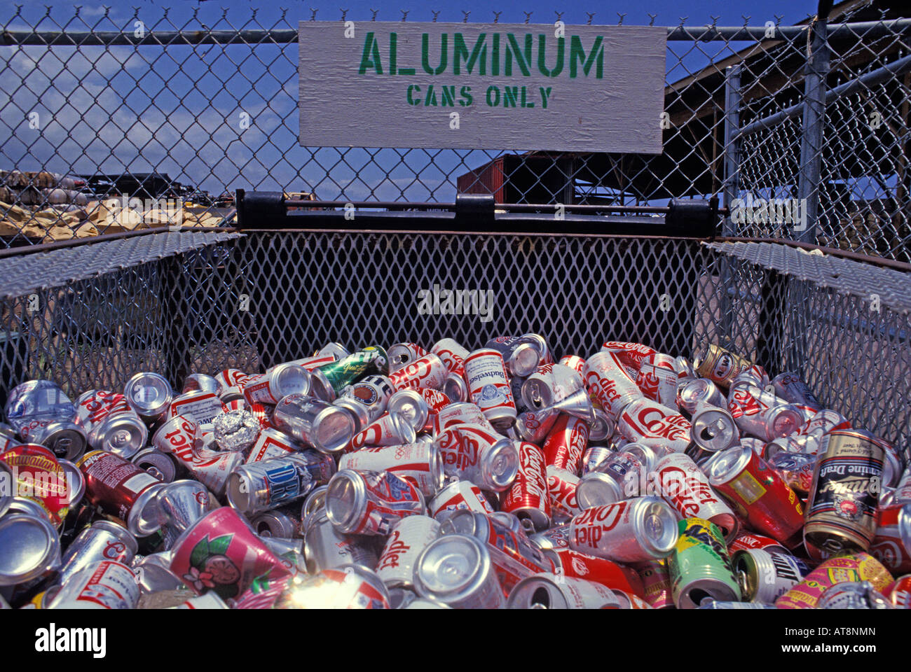 Hundreds of aluminum cans are piled in a metal recycling container ...