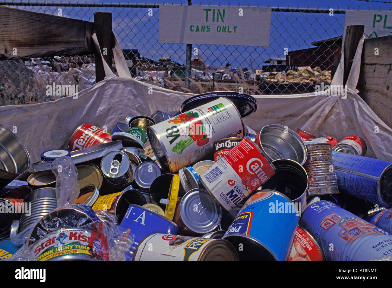 A recycling bin holds various empty tin cans Stock Photo - Alamy