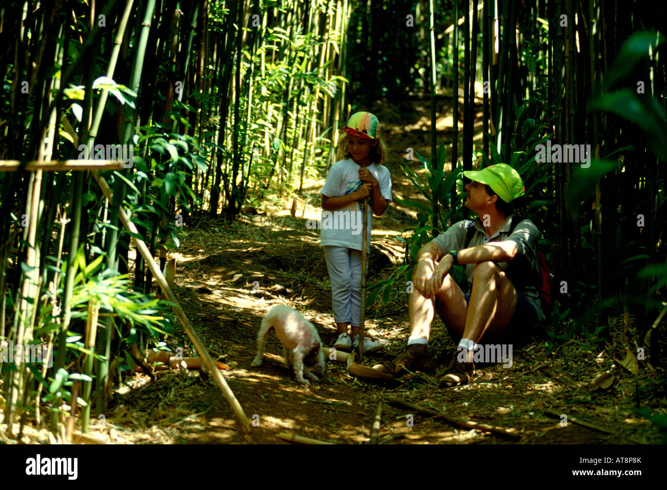 A father, daughter and small white dog pause in a towering bamboo ...