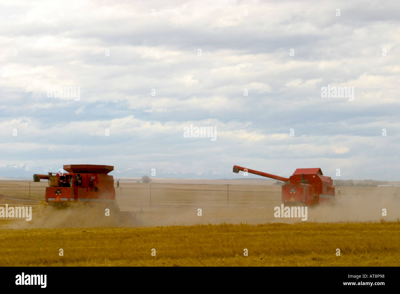 AGRICULTURE Wheat field in Prairies of Alberta, Canada, North America ...