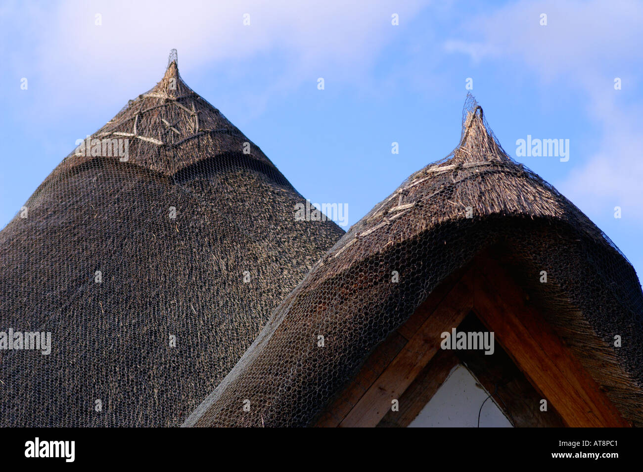 Traditional English straw covered thatched roof Stock Photo - Alamy
