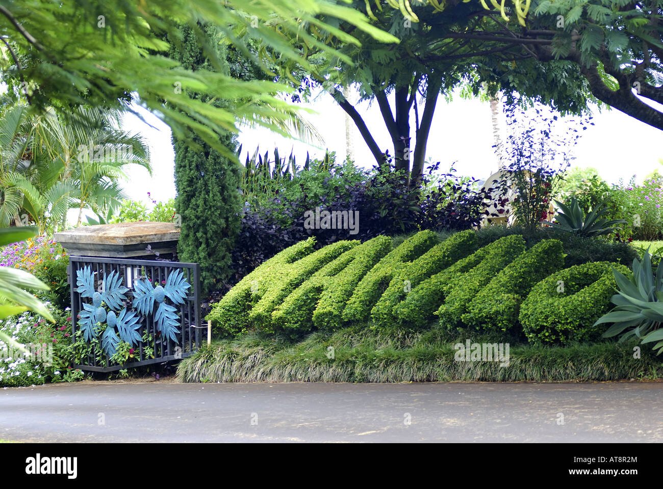 Hawaiian word 'Mahalo' (thank you) sculpted from green foliage at the ...