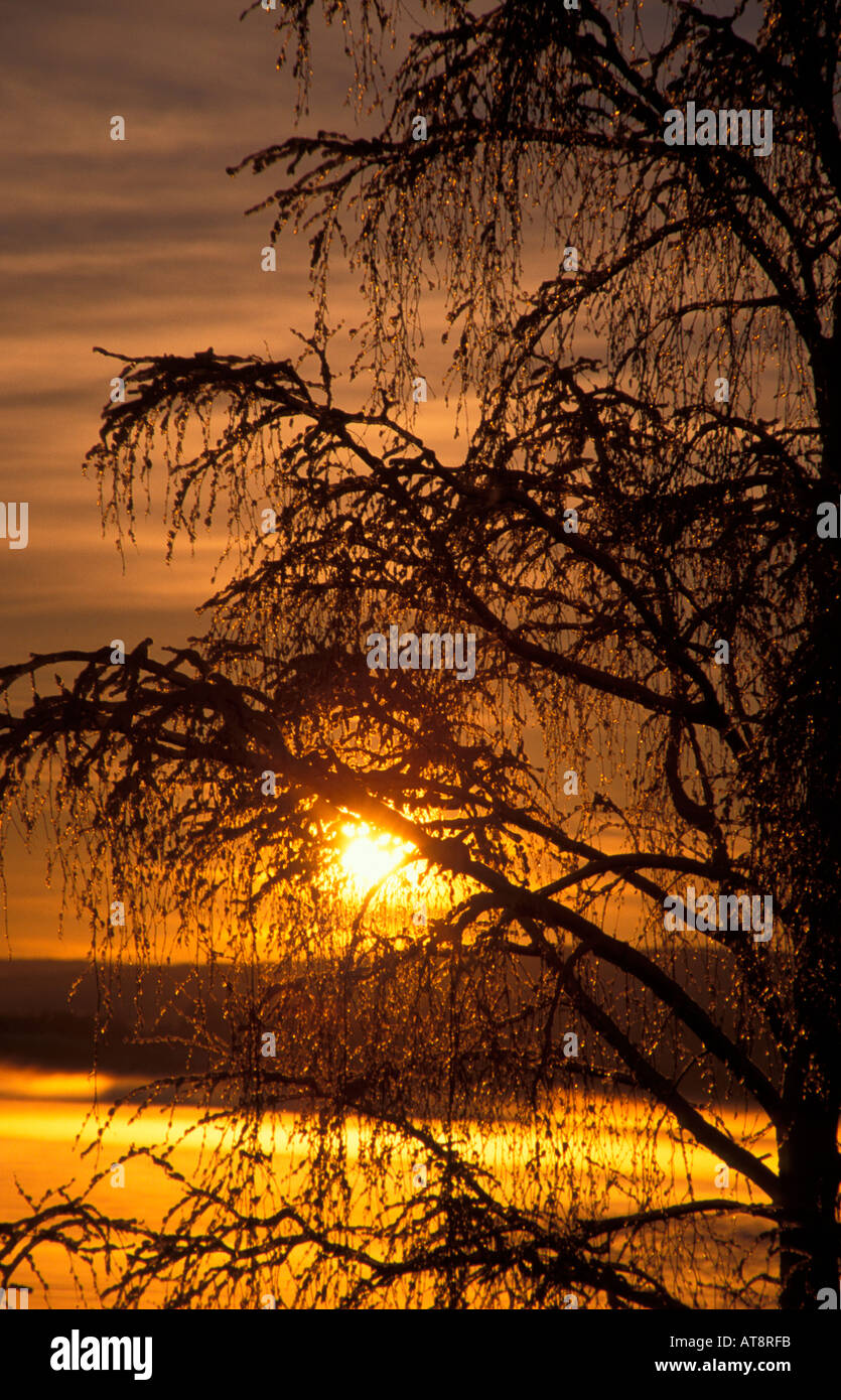 Winter scene Angermmanland Sweden Stock Photo - Alamy