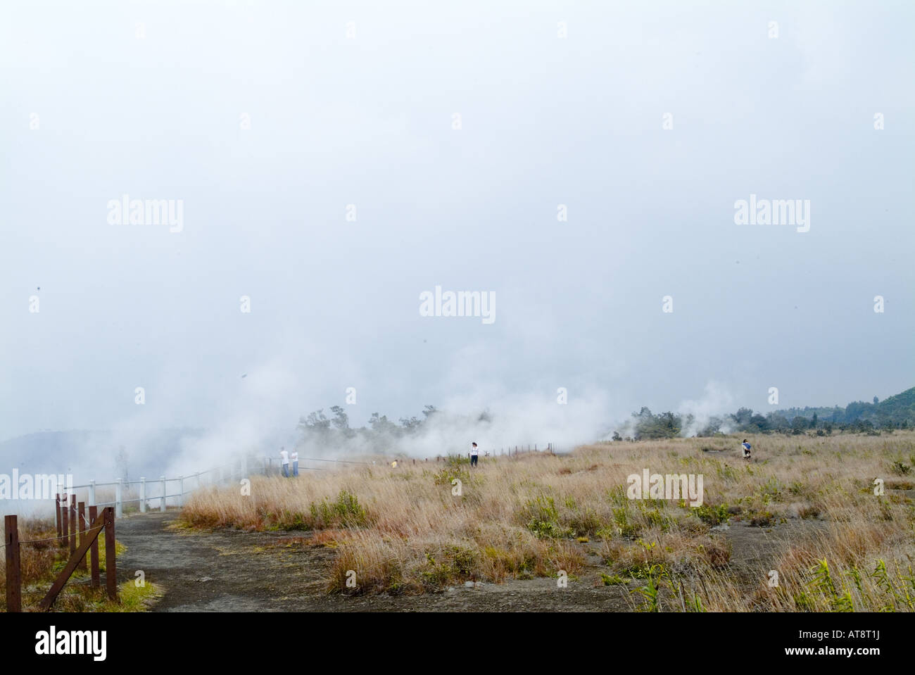 Tourists observe volcanic steam rising from vents at Hawaii Volcanoes ...