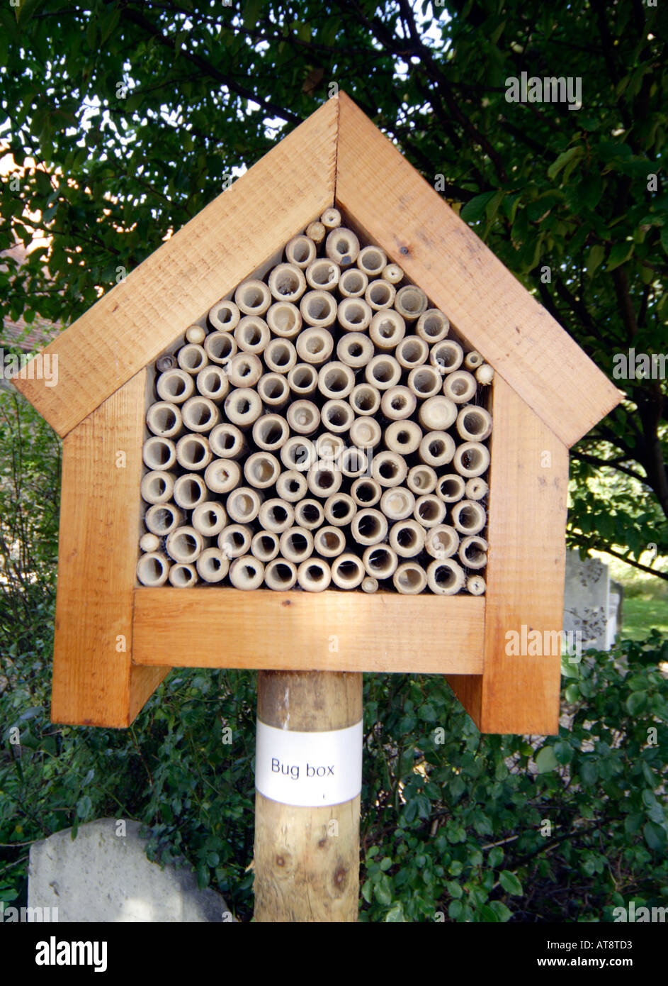 The environmentally friendly bug box for encouraging insects into your ...