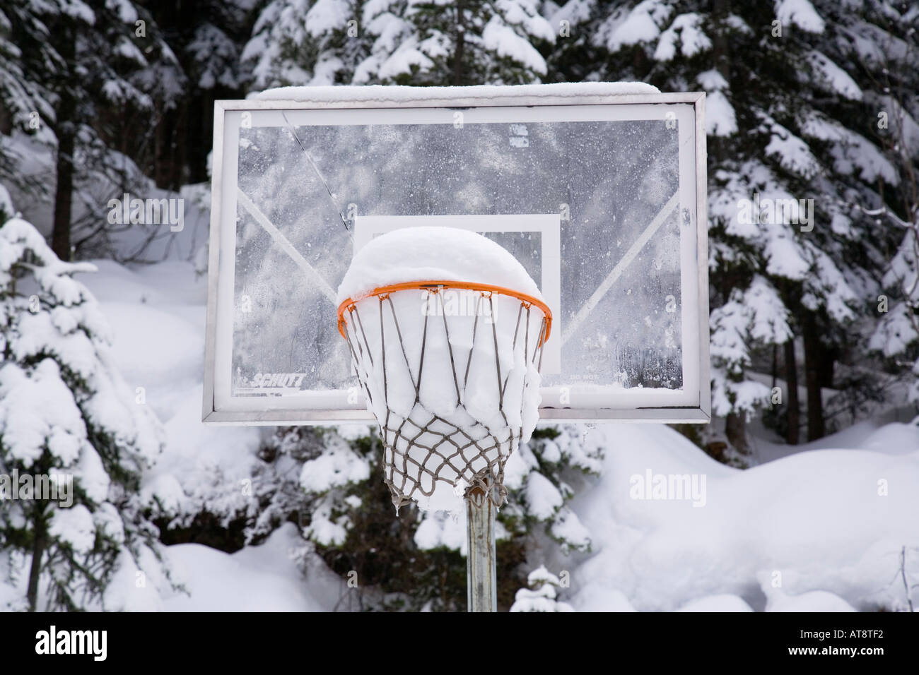 Basketball hoop filled with snow Alpental ski area Snoqualmie Pass ...