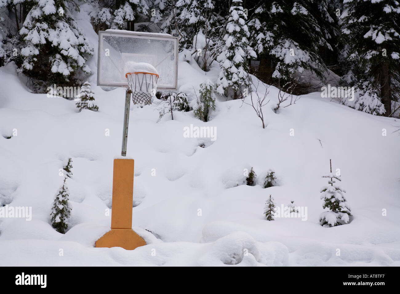 Basketball hoop filled with snow Alpental ski area Snoqualmie Pass ...