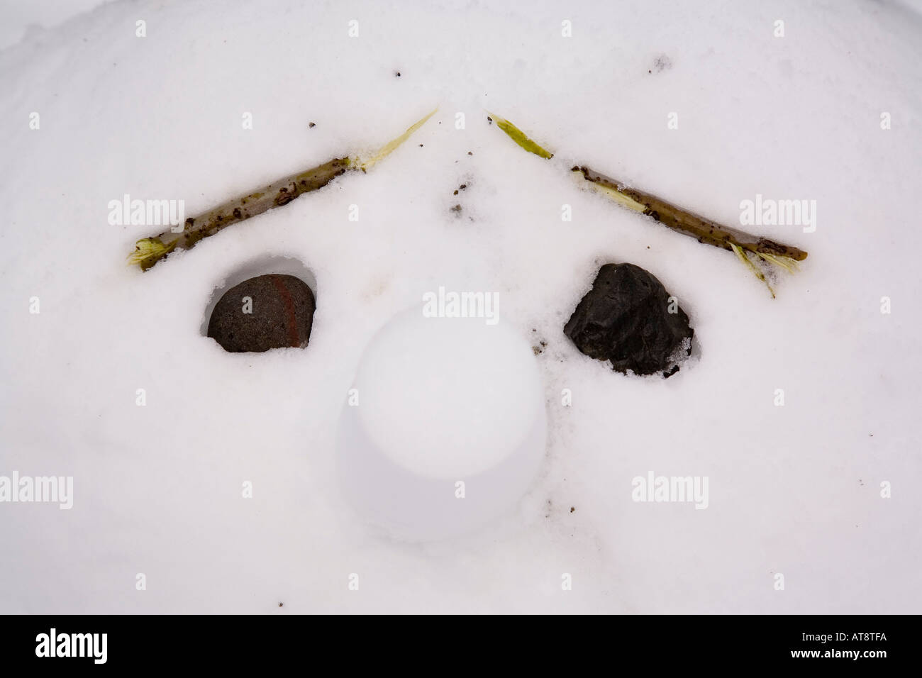 Snowman face with rocks as eyes and wooden twigs for eyebrows and a ...