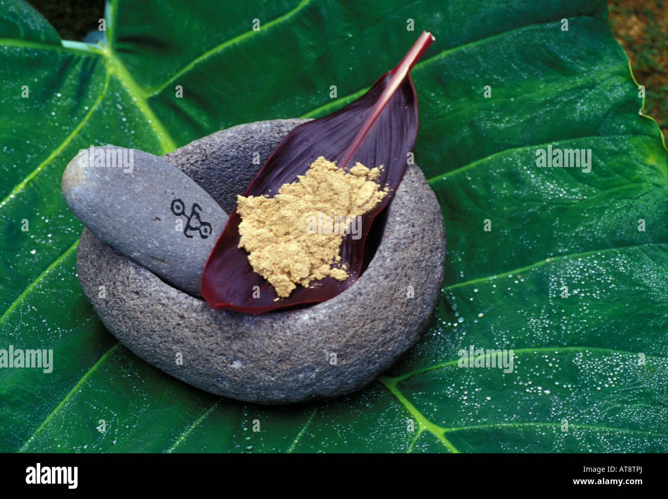 Kava bowl hi-res stock photography and images - Alamy