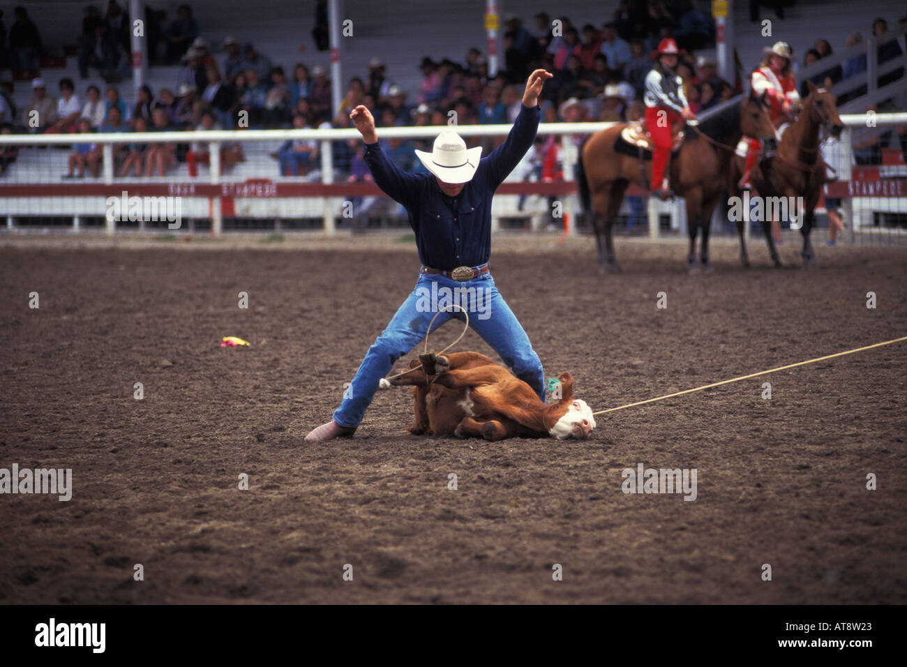 Calf roping finish hi-res stock photography and images - Alamy