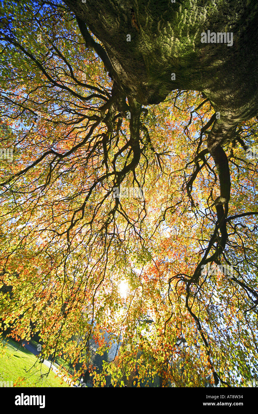 Upshot hi-res stock photography and images - Alamy