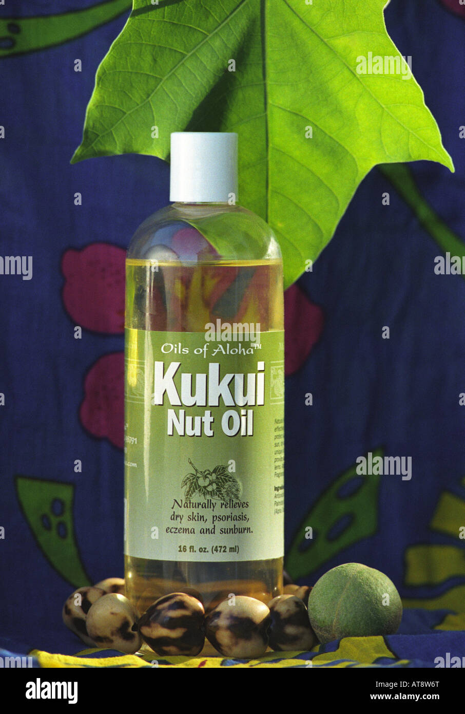 Kukui tree hi-res stock photography and images - Alamy