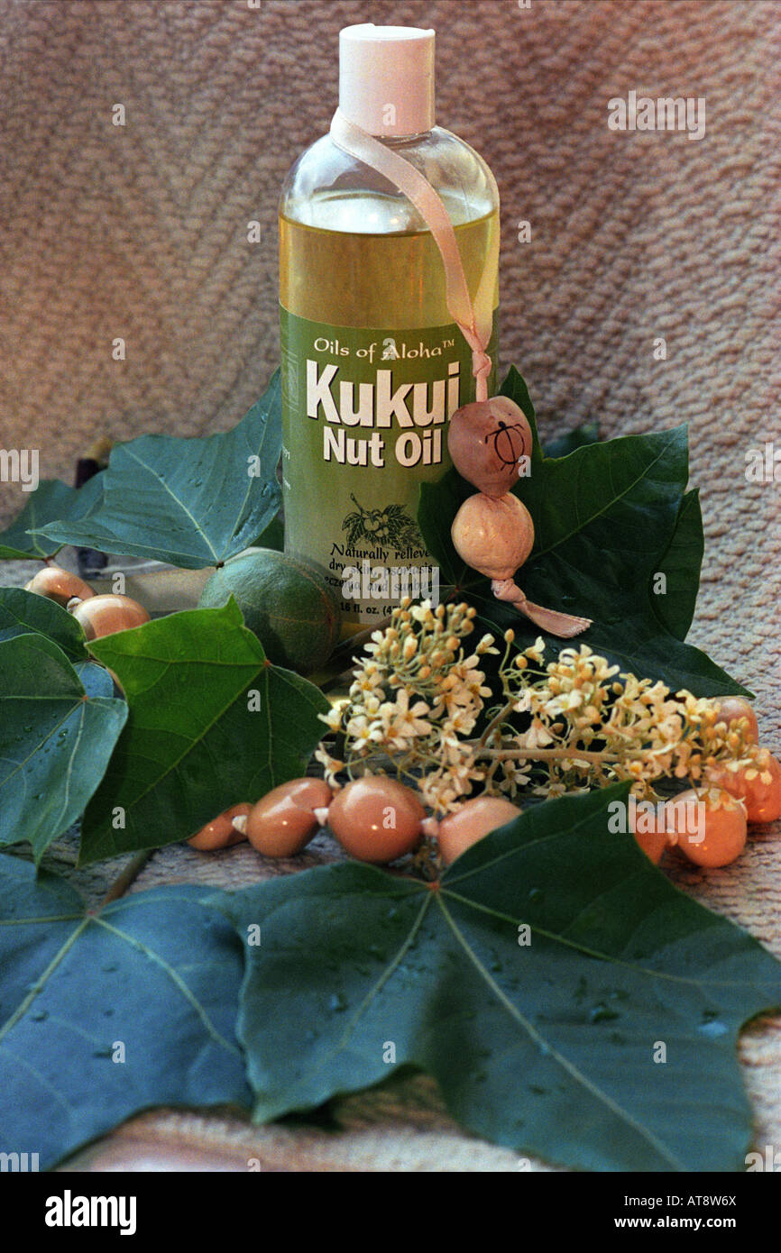 Kukui nut oil with leaves hi-res stock photography and images - Alamy