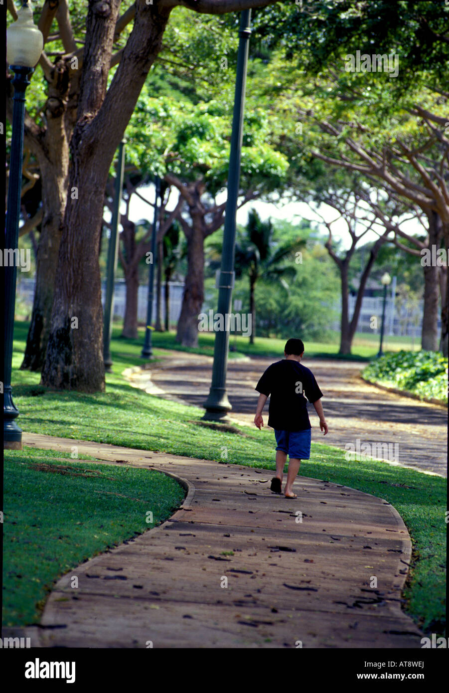 Boy walking home in residential area of Oahu Stock Photo - Alamy