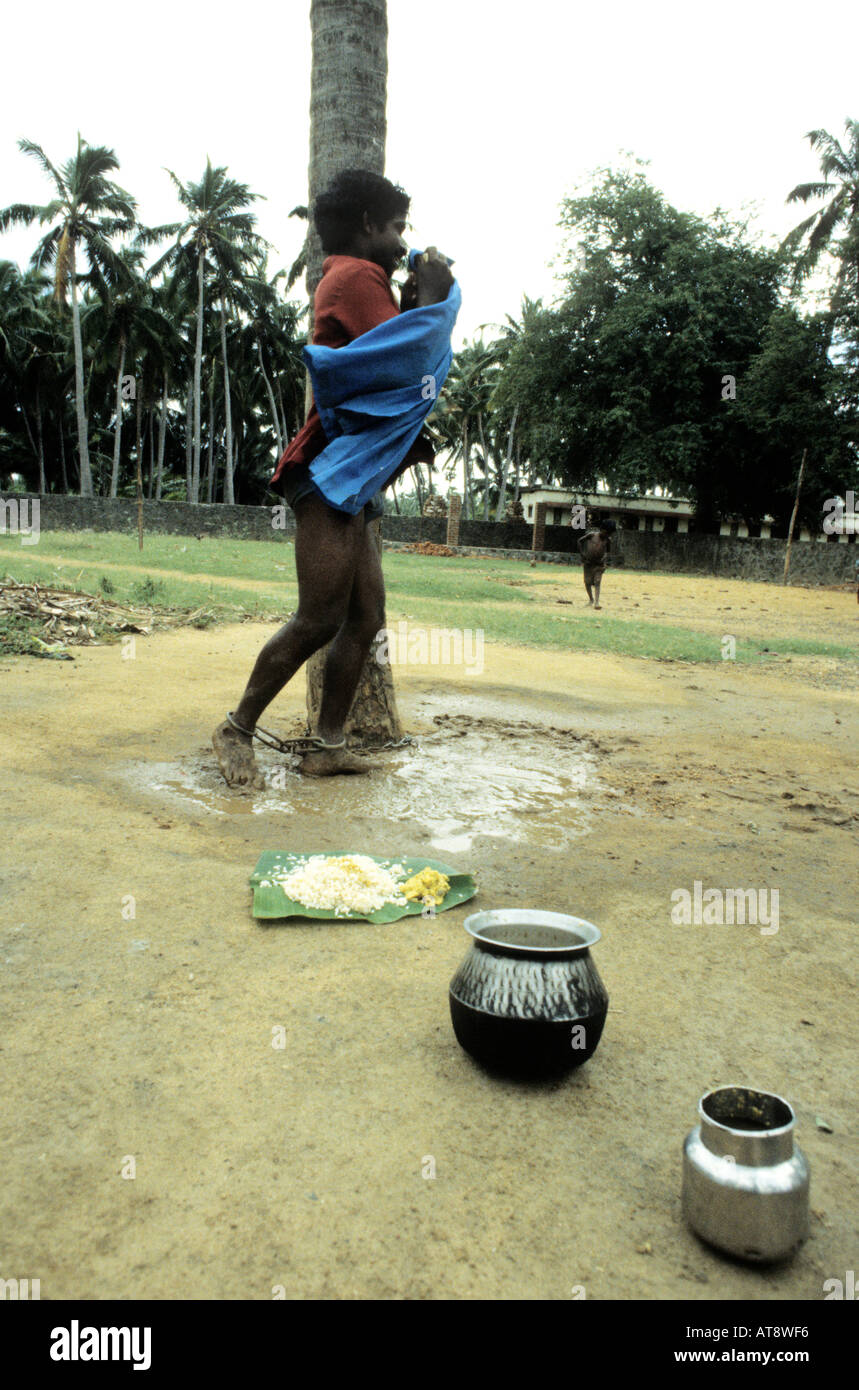 MADNESS, food is ready Stock Photo - Alamy