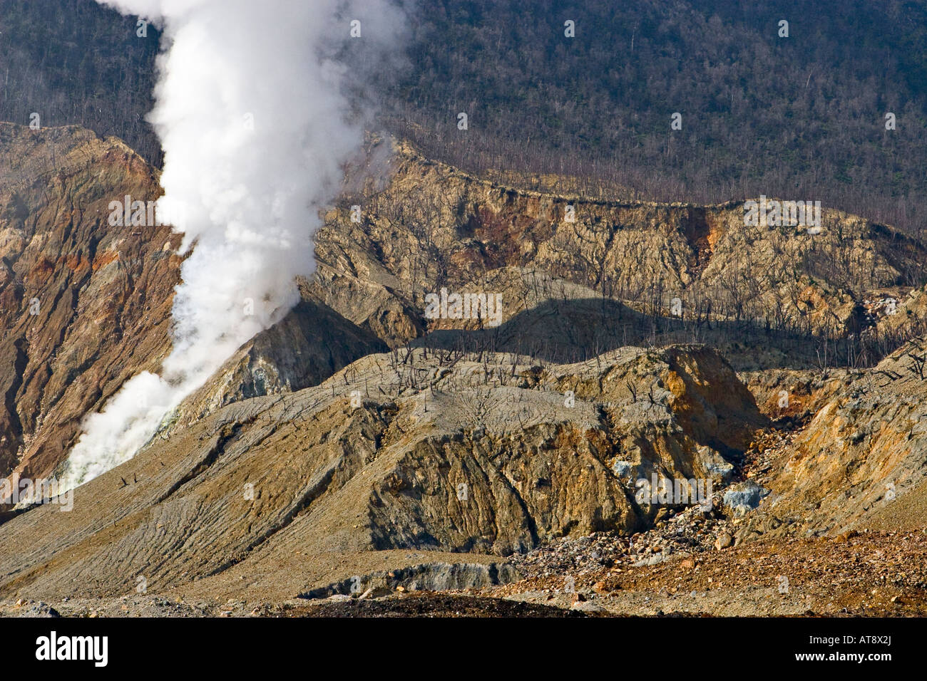 Papandayan volcano, Java, Indonesia, Asia Stock Photo - Alamy