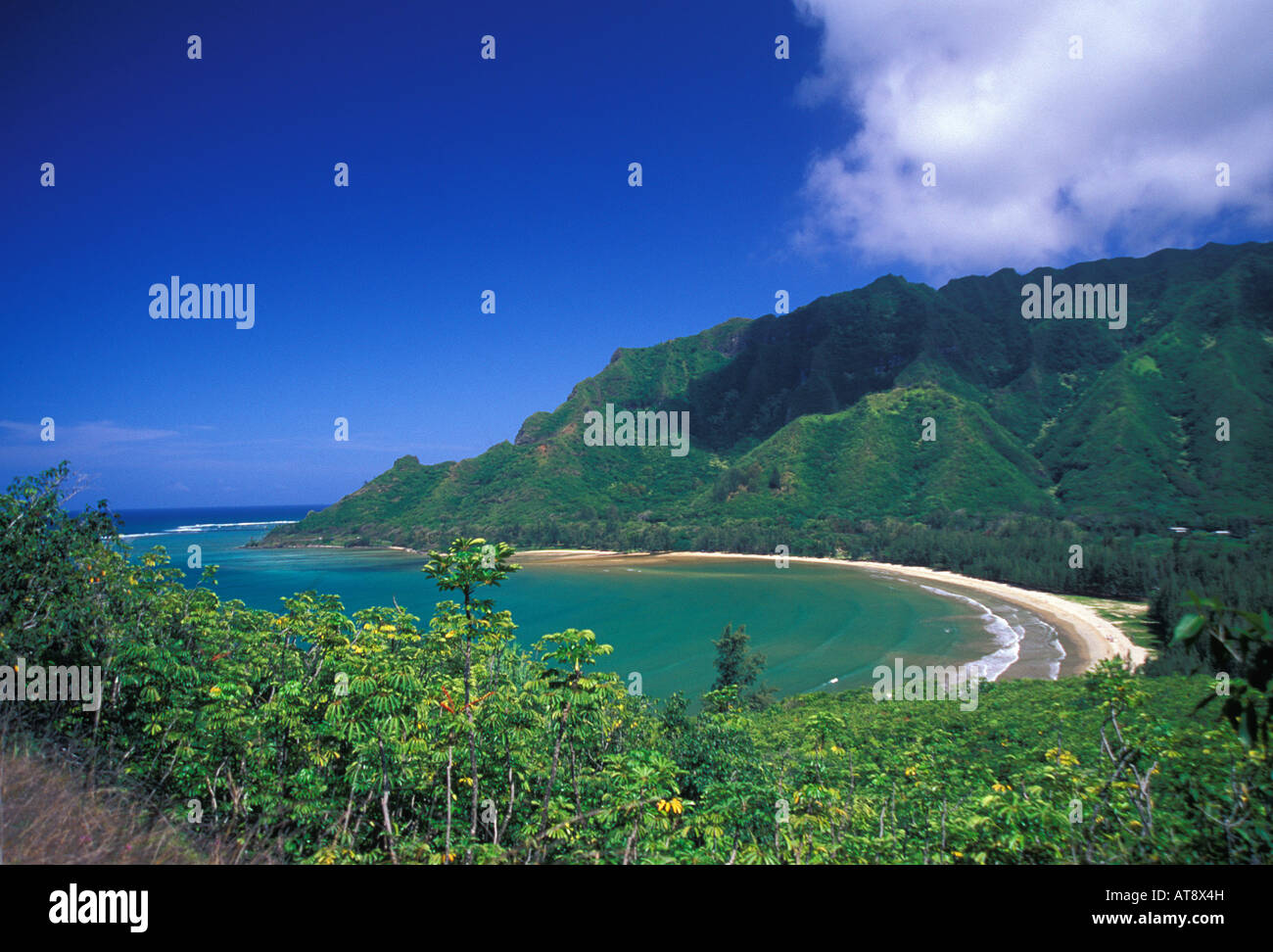 Kahana valley state park hi-res stock photography and images - Alamy
