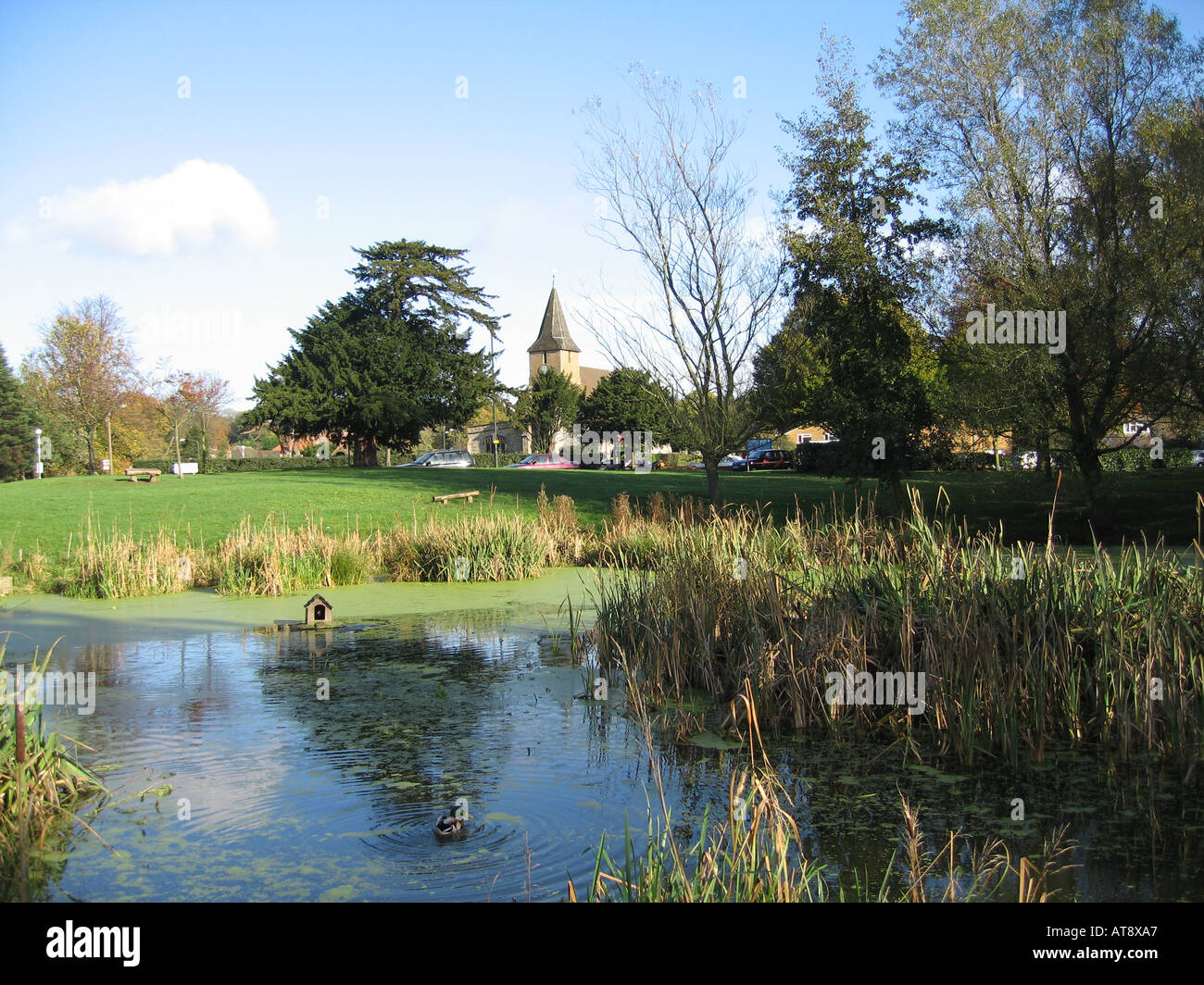 Sanderstead pond hi-res stock photography and images - Alamy