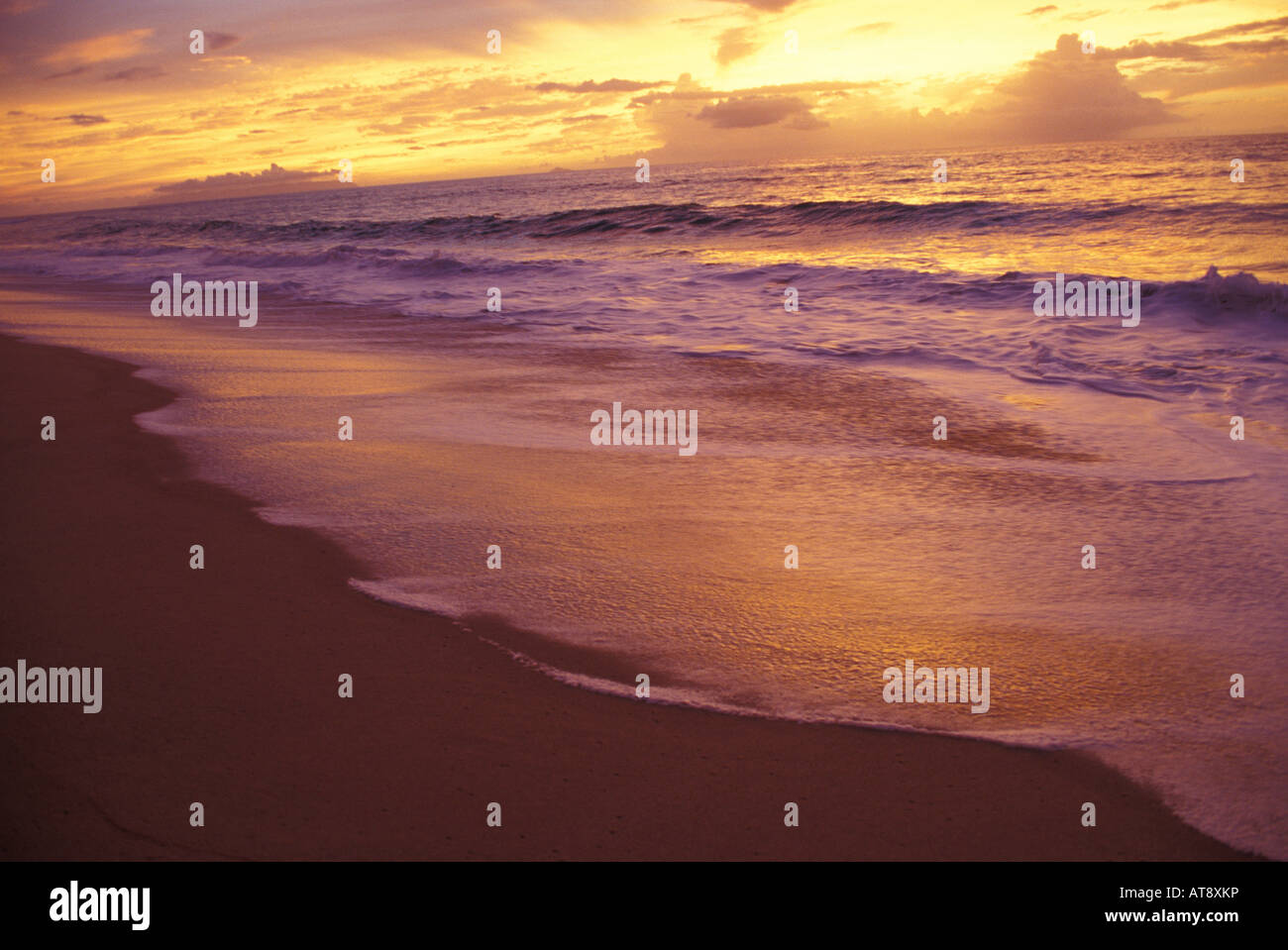 Sunset at Polihale beach on Kauai's west end Stock Photo - Alamy