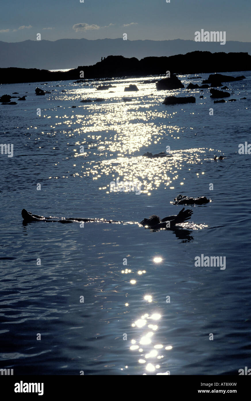 Woman floating on her back in tide pool on Oahu's north shore Stock ...