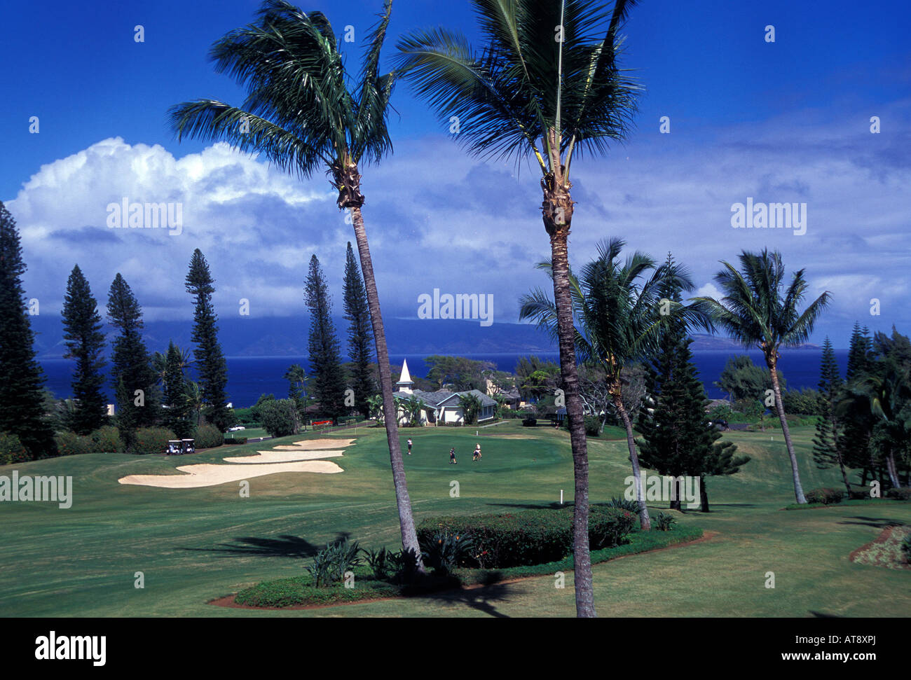 Golfers out on the putting green with palm trees and ocean view at ...