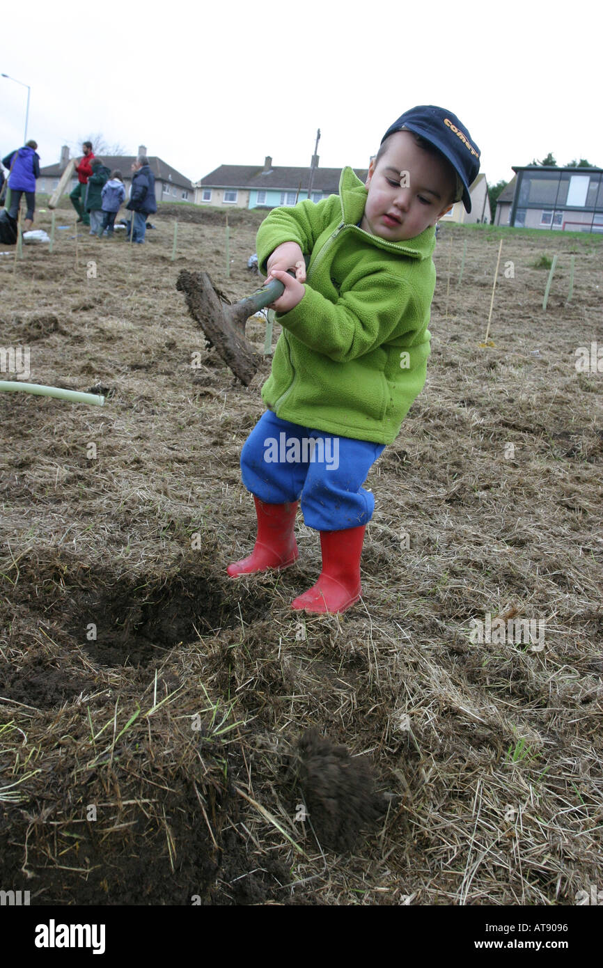 A young boy planting a tree as part of a community forest in Swindon ...
