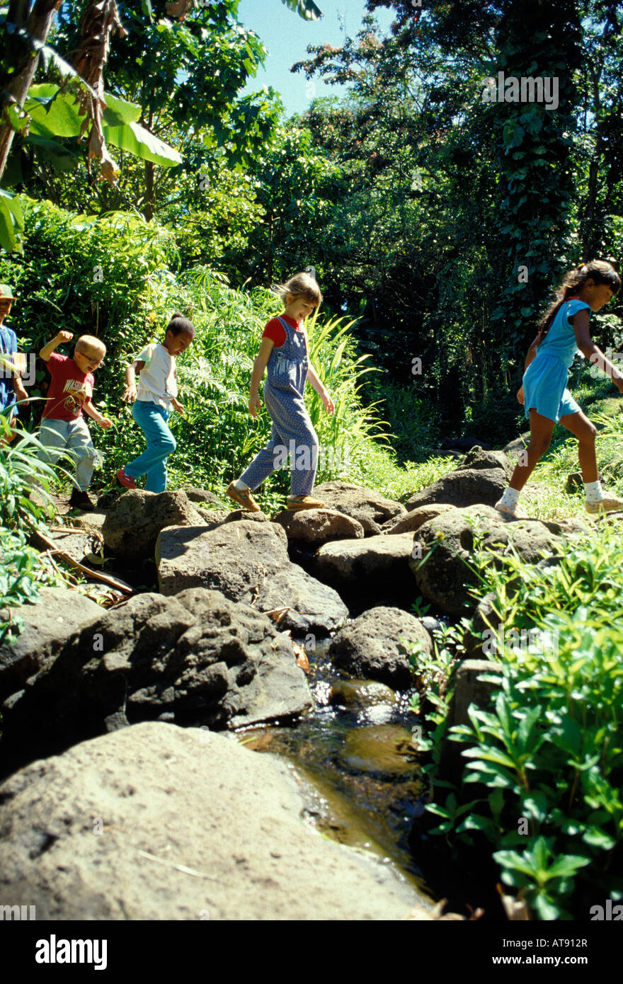 Children climbing trees hawaii hi-res stock photography and images - Alamy