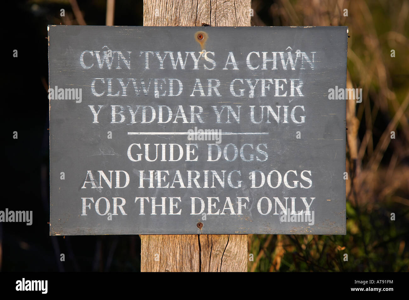 Bilingual sign in english and welsh hi-res stock photography and images ...