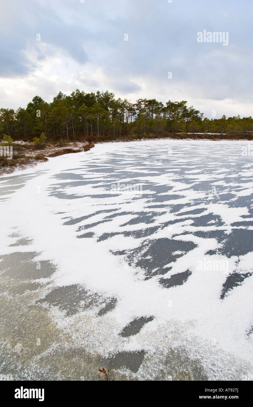 Frozen bog pool Stock Photo - Alamy