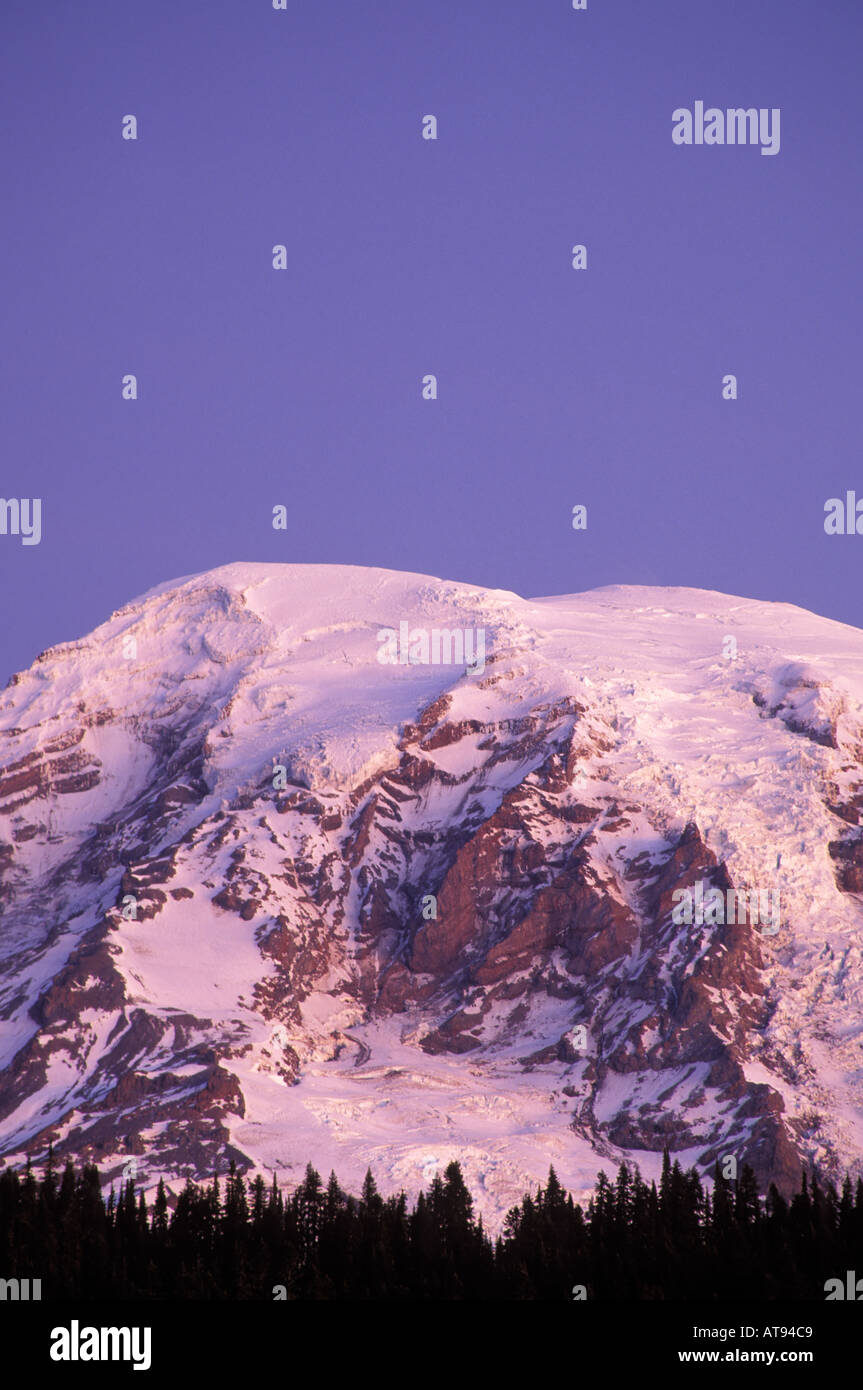 Sunrise on Mount Rainier above tree line from Reflection Lakes Mount ...