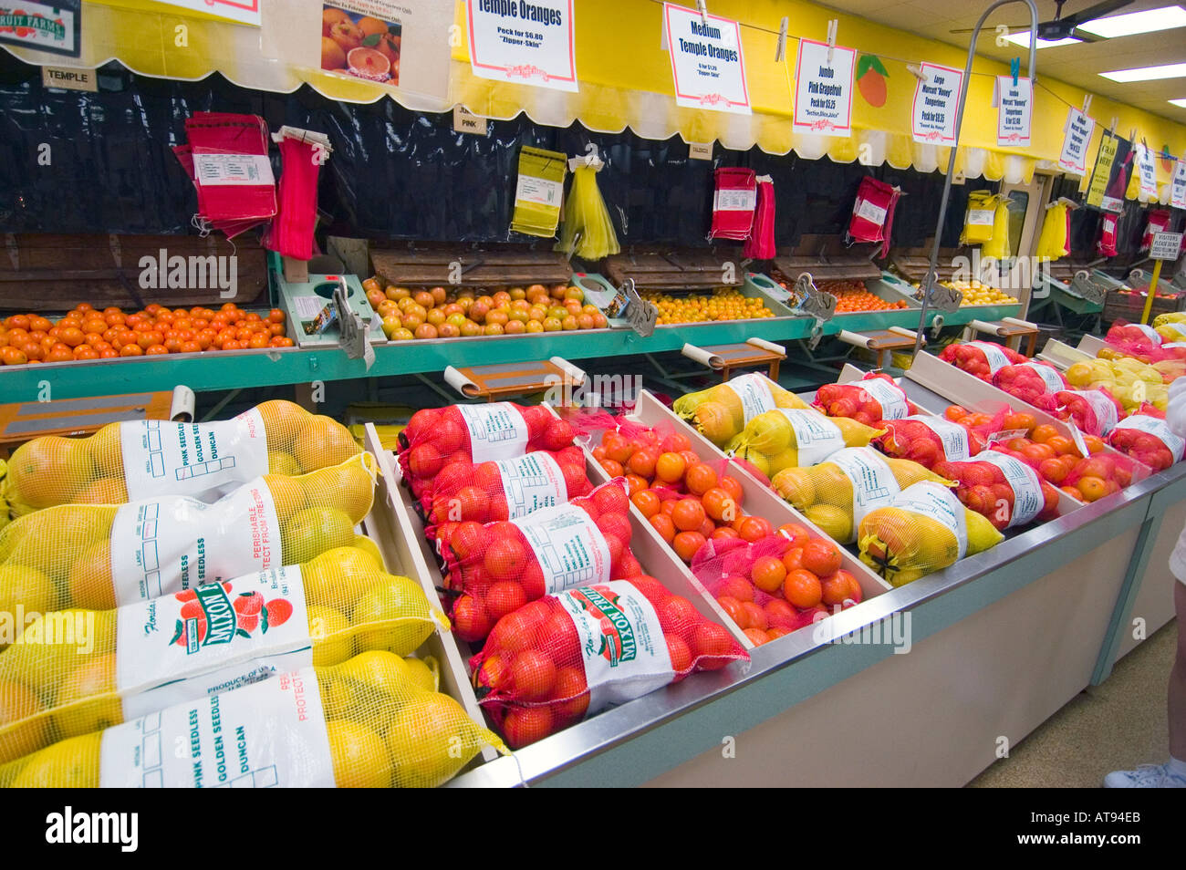 Agricultural Orange Lemon Grapefruit and Citrus groves at Sarasota ...
