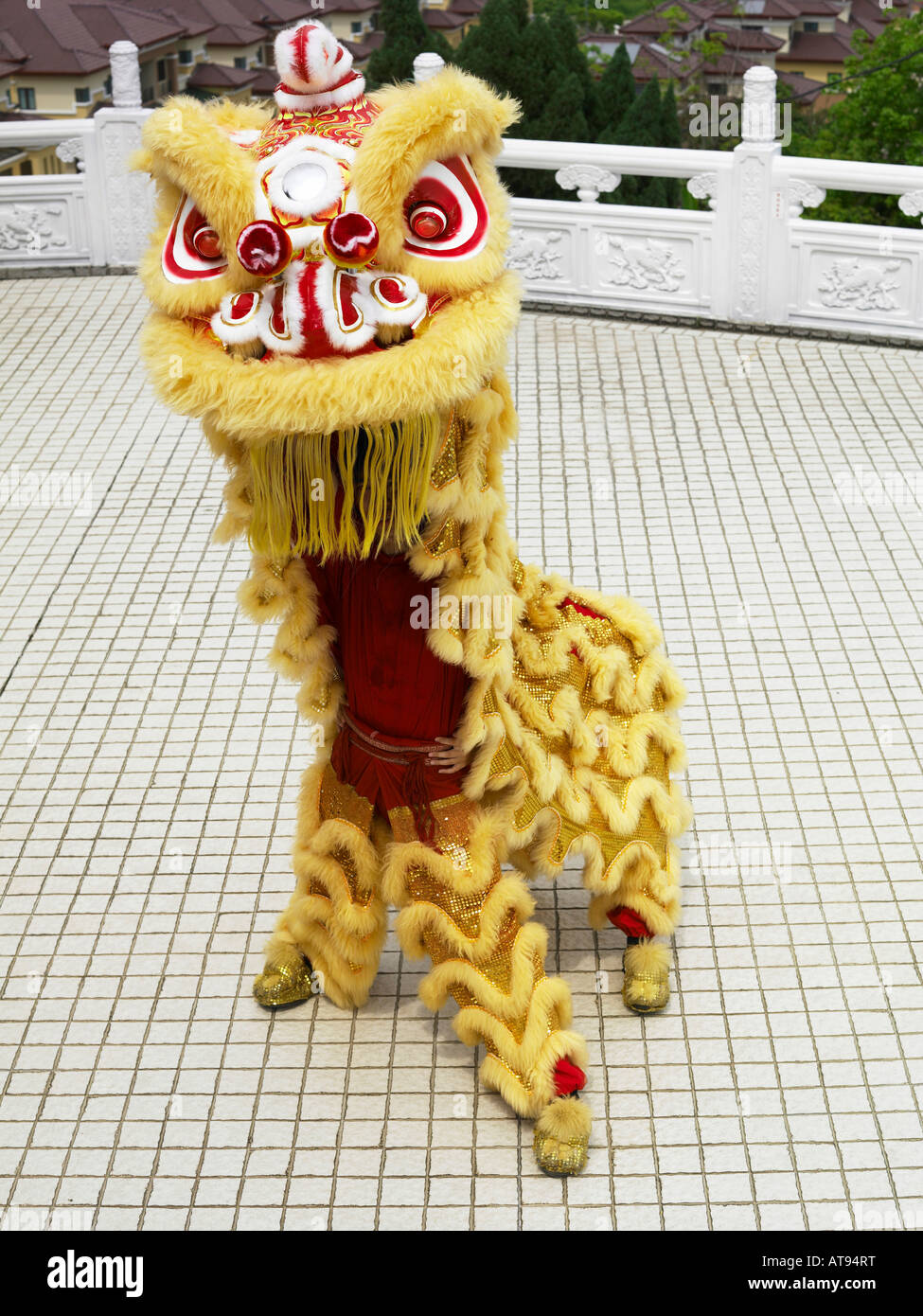 lion dance performers lifting the lion head up Stock Photo - Alamy