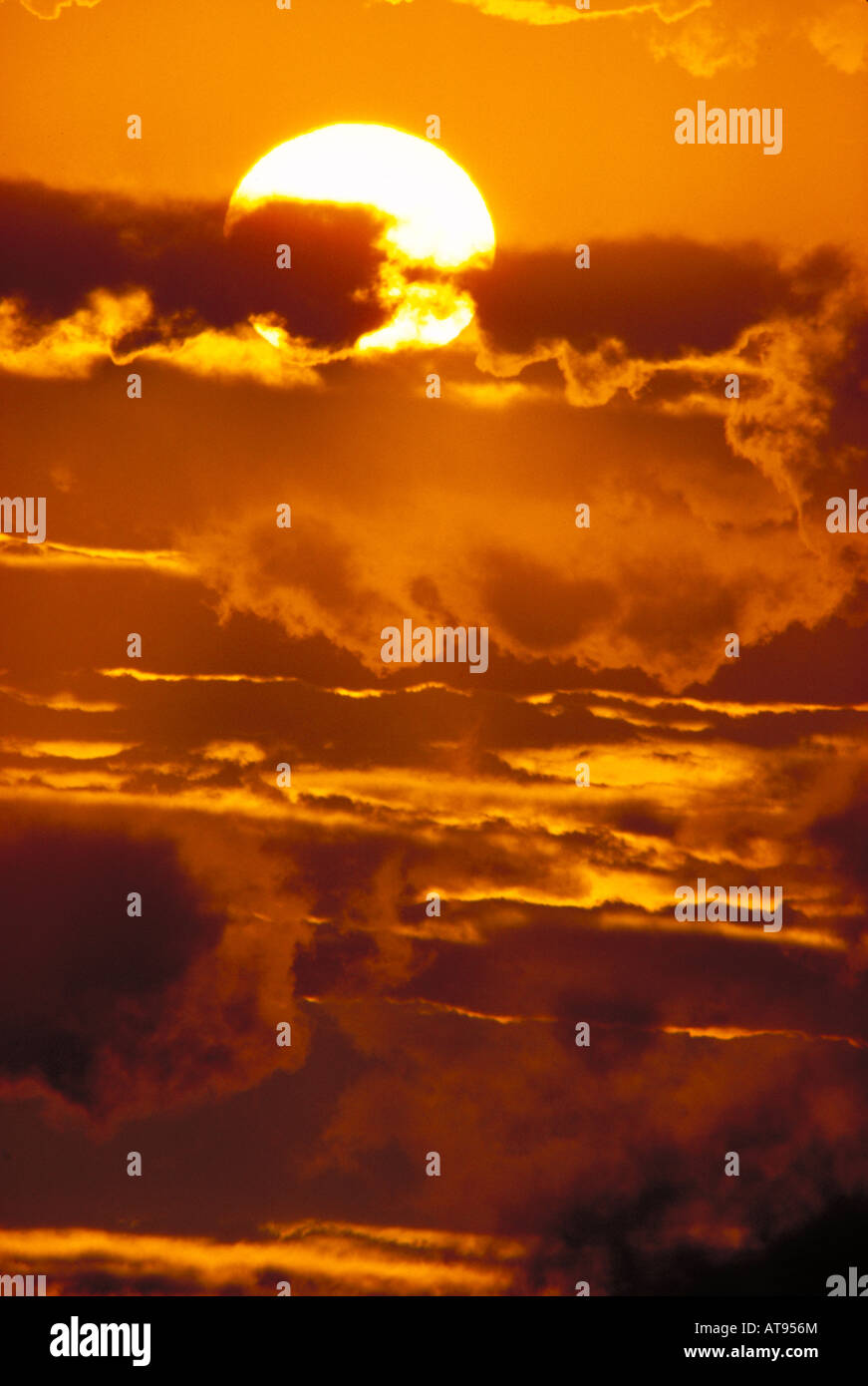 Close-up of a large white sun in the midst of golden clouds and sky ...