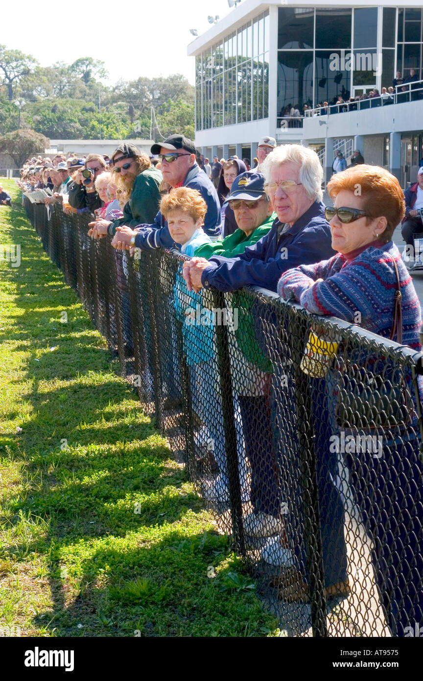 Spectators view start of Greyhound Dog Race Sarasota Florida Stock ...