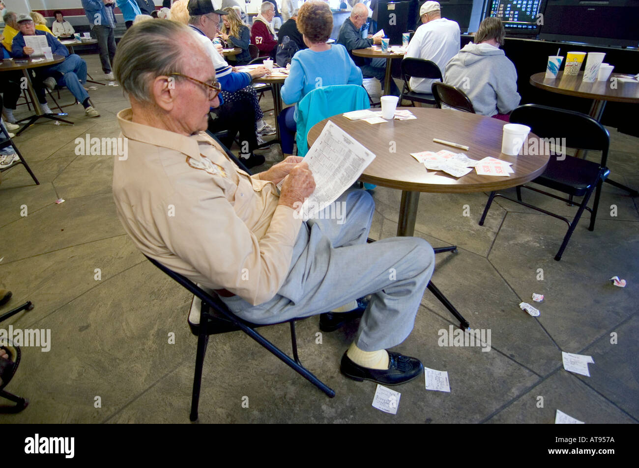 Senior male reads form for Greyhound Dog Racing Sarasota Florida Stock ...