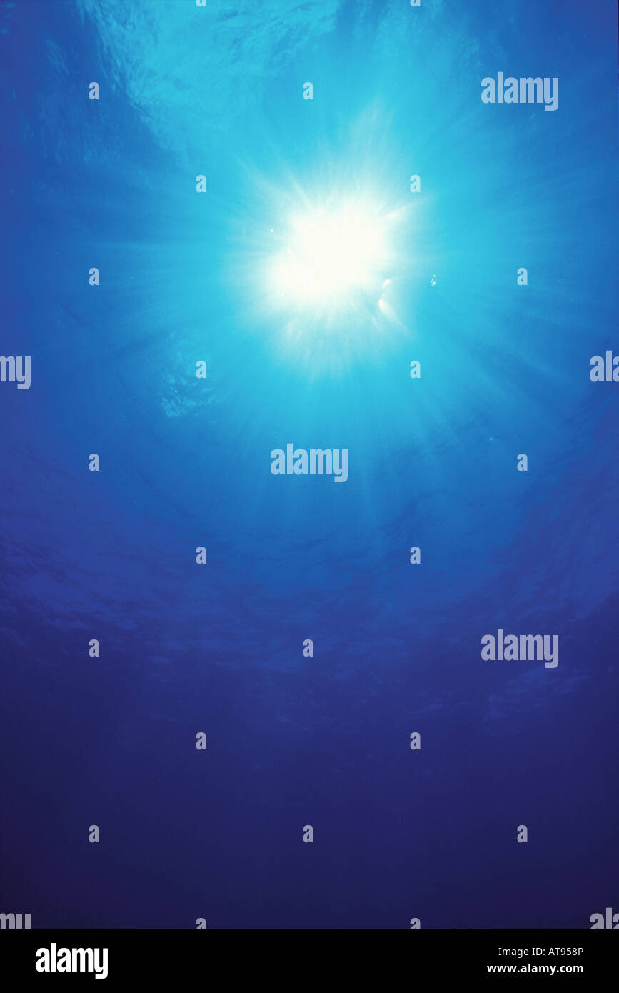 Underwater sun hi-res stock photography and images - Alamy