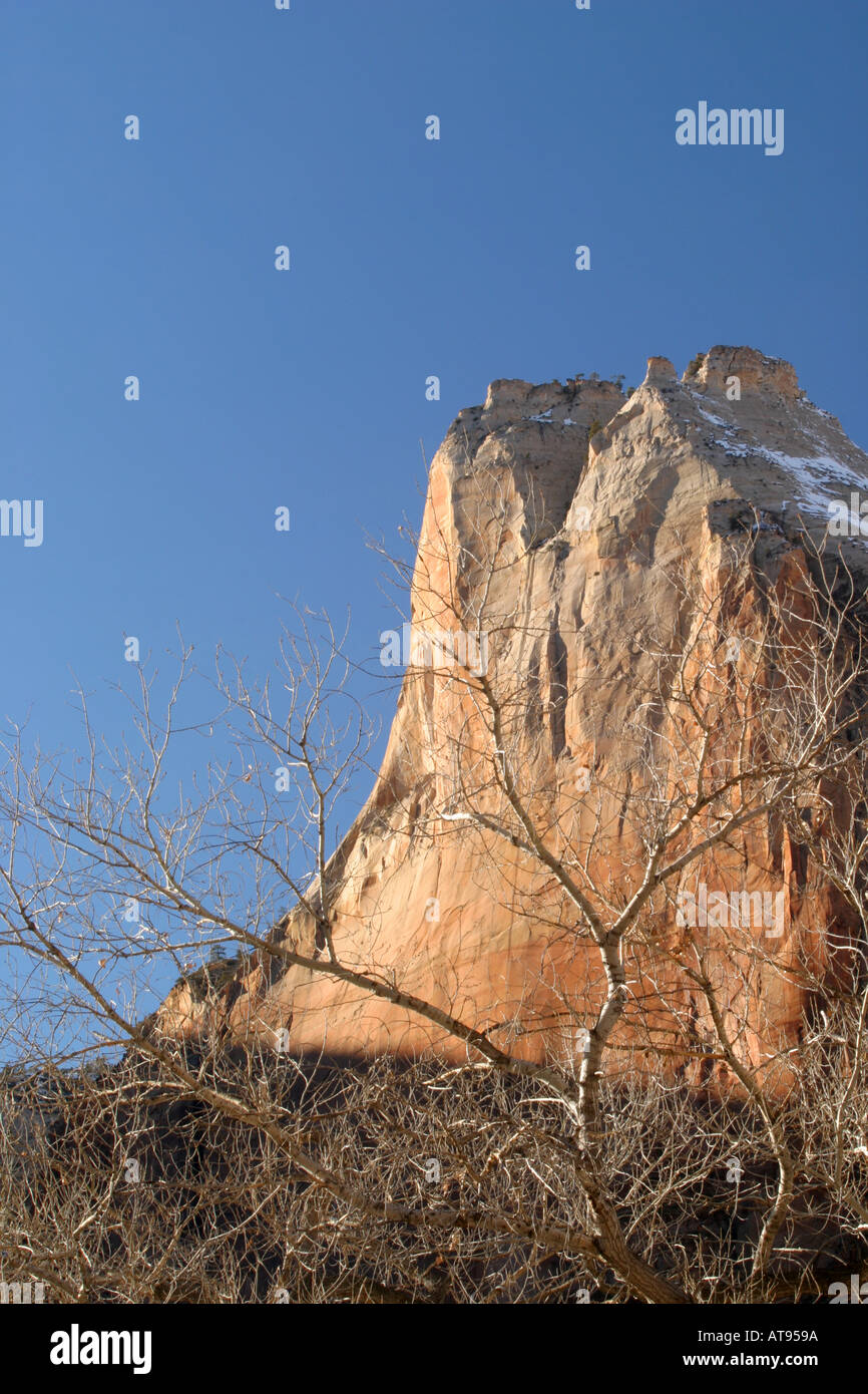 Cliffs of Abraham Mountain above cottonwood trees Zion National Park ...