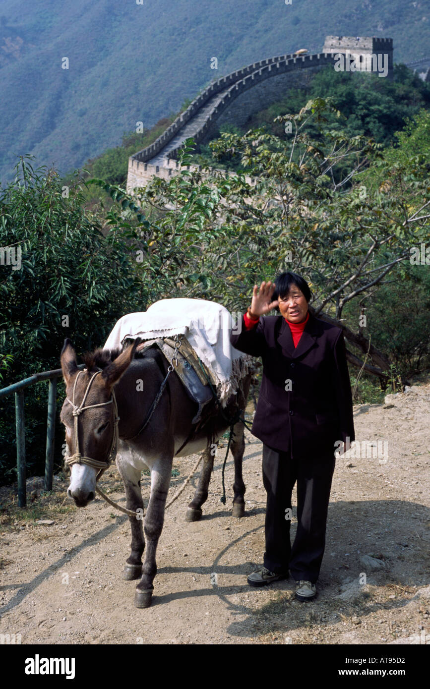 Donkey lady, Great Wall of China at Mutianyu Stock Photo - Alamy