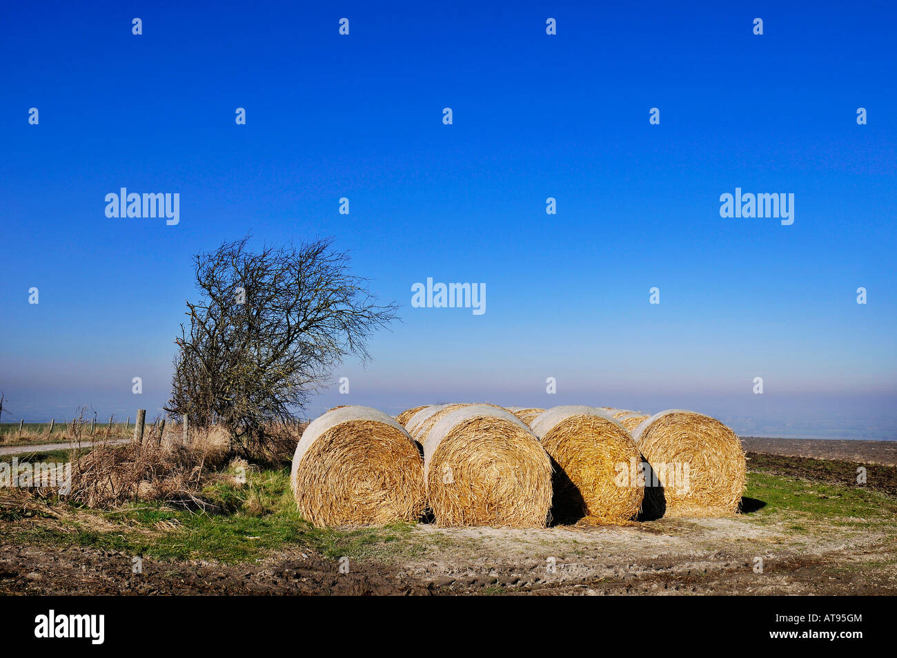 Straw cylinder hi-res stock photography and images - Alamy