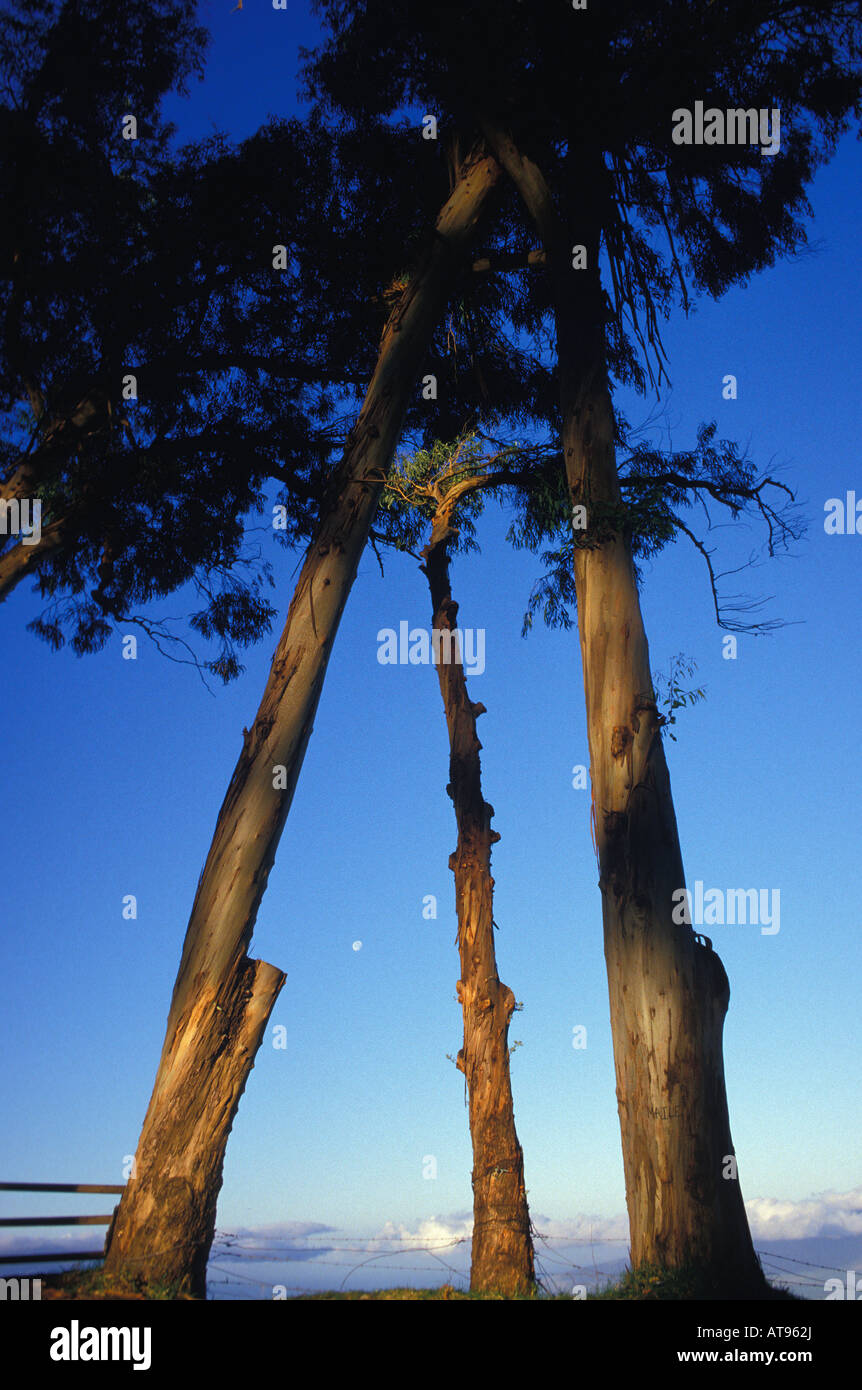 Moon frame hi-res stock photography and images - Alamy