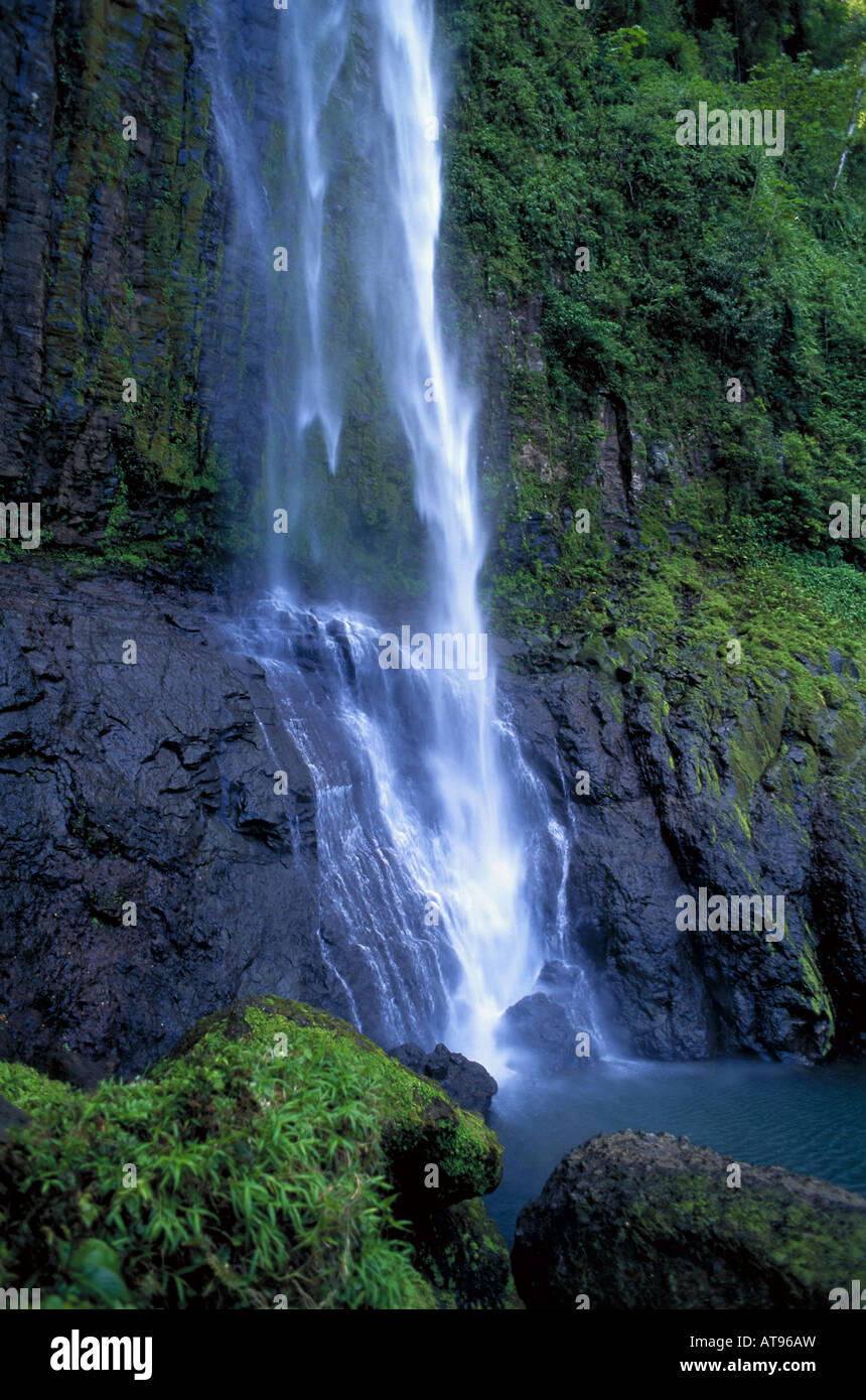 Cocos Island Costa Rica Waterfall High Resolution Stock Photography and ...