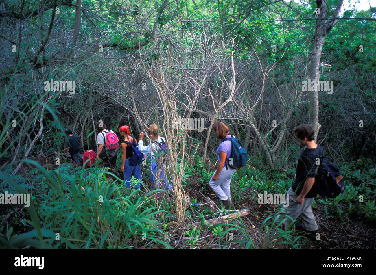 Group of people hiking the ridge trail of the Waianae mountains on Oahu ...