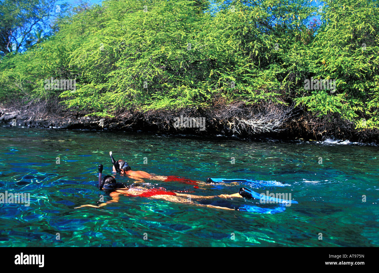 A couple enjoying the snorkeling near Captain Cook Monument ...